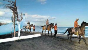 Naik Kuda Di Bali - Harga Murah Menunggang Kuda Di Pantai Saba
