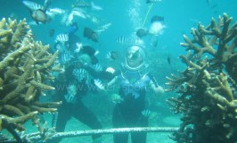 Pantai Labuhan Amuk - Hal Perlu Anda Tahu Sebelum Berkunjung