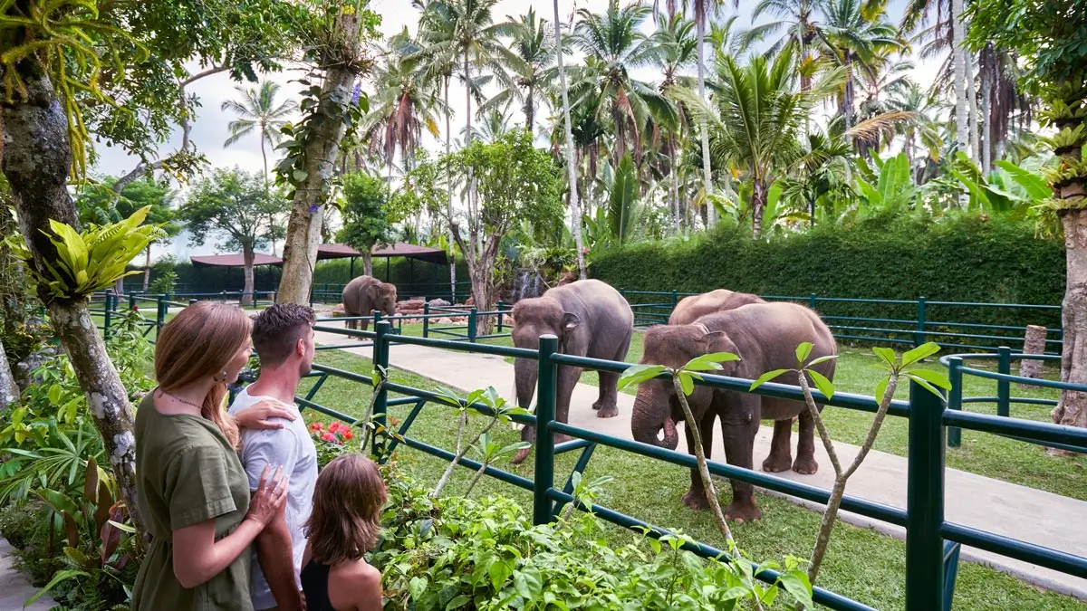 Taro Elephant Safari Park: Jam Buka + Pin Maps